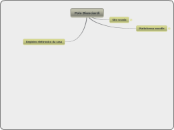 Prova mappa - Mind Map
